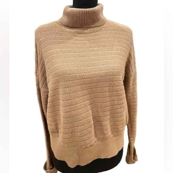 BCBG | Sweaters | Bcbg Sz L Roomy Fit Beige Cropped Knit Turtleneck ...